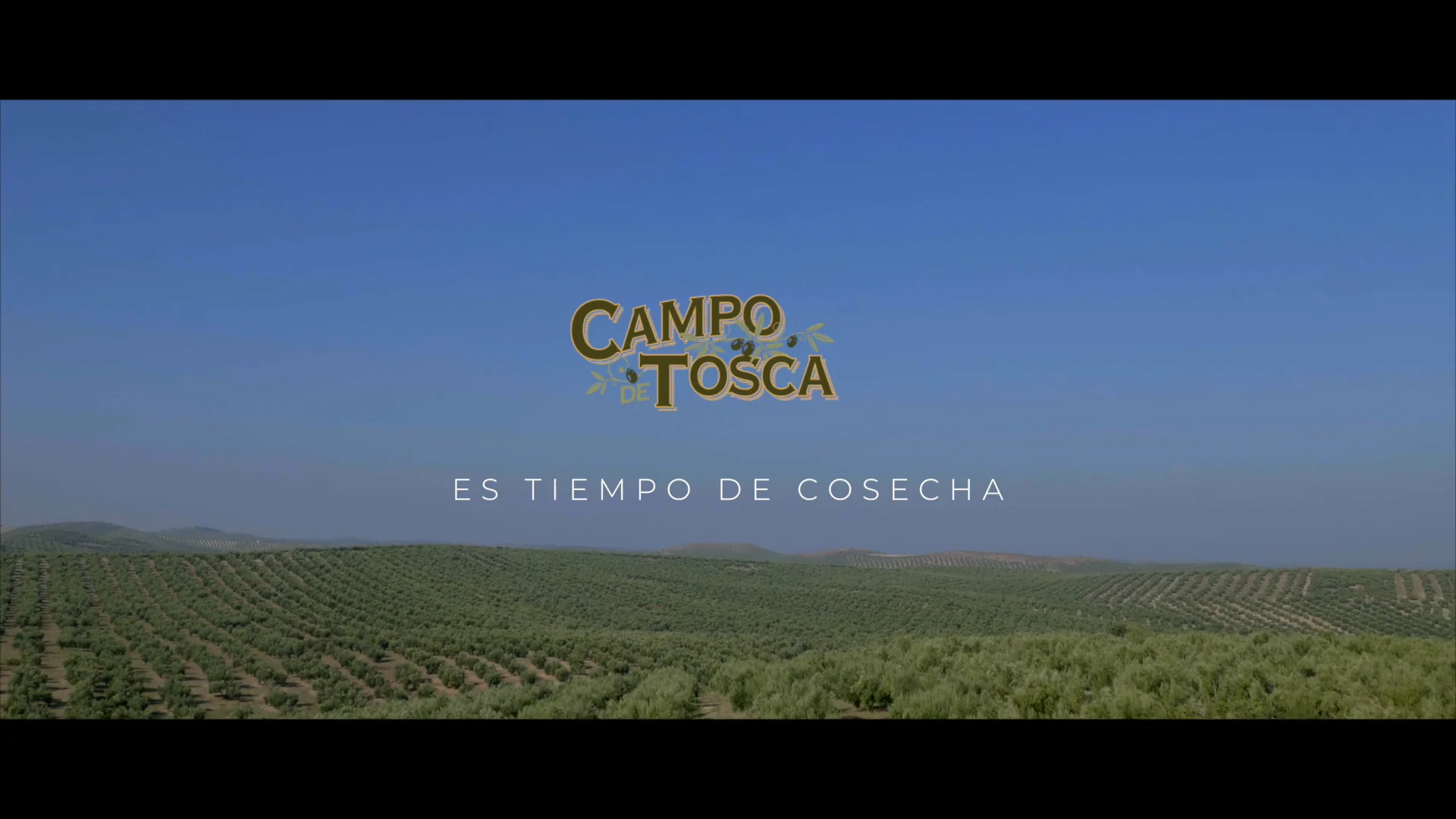 SPOT CAMPO DE TOSCA on Vimeo