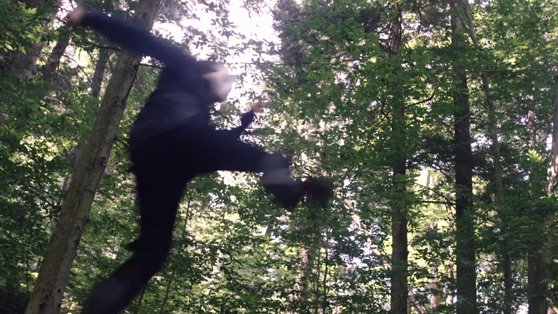 Watch Challenge of 5 Gauntlets Online | Vimeo On Demand on Vimeo