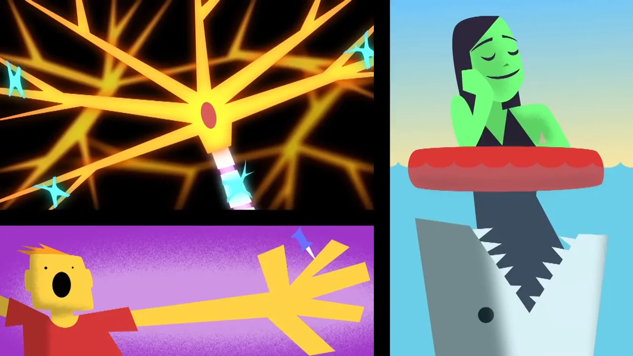 How does your brain respond to pain - Karen D Davis on Vimeo