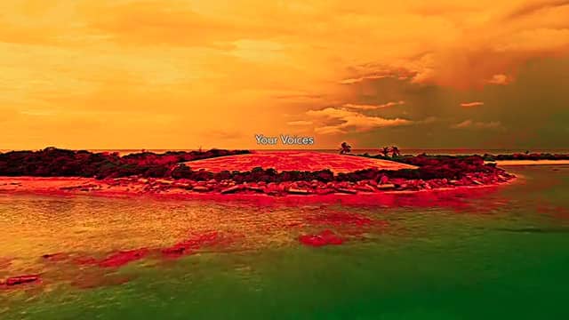 Your Voices: Lojwa Animals/International Atomic Vets on Vimeo