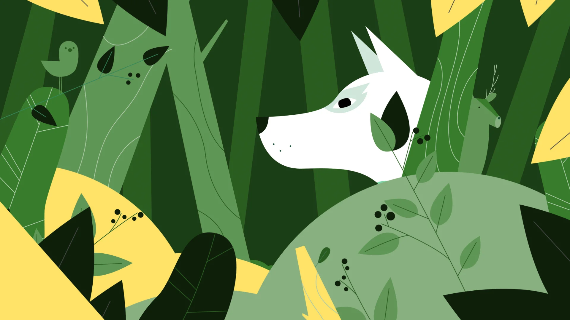 Defenders of Wildlife