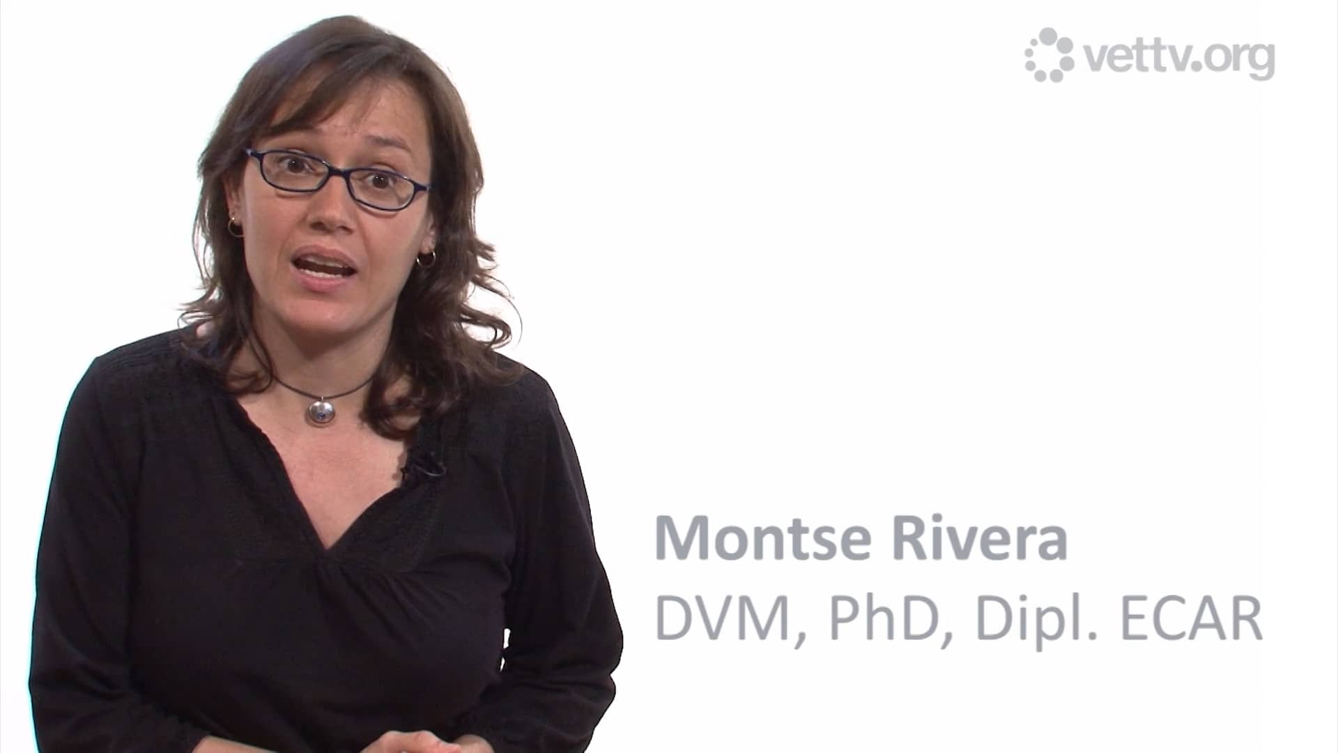 Montse Rivera - vettv.org on Vimeo