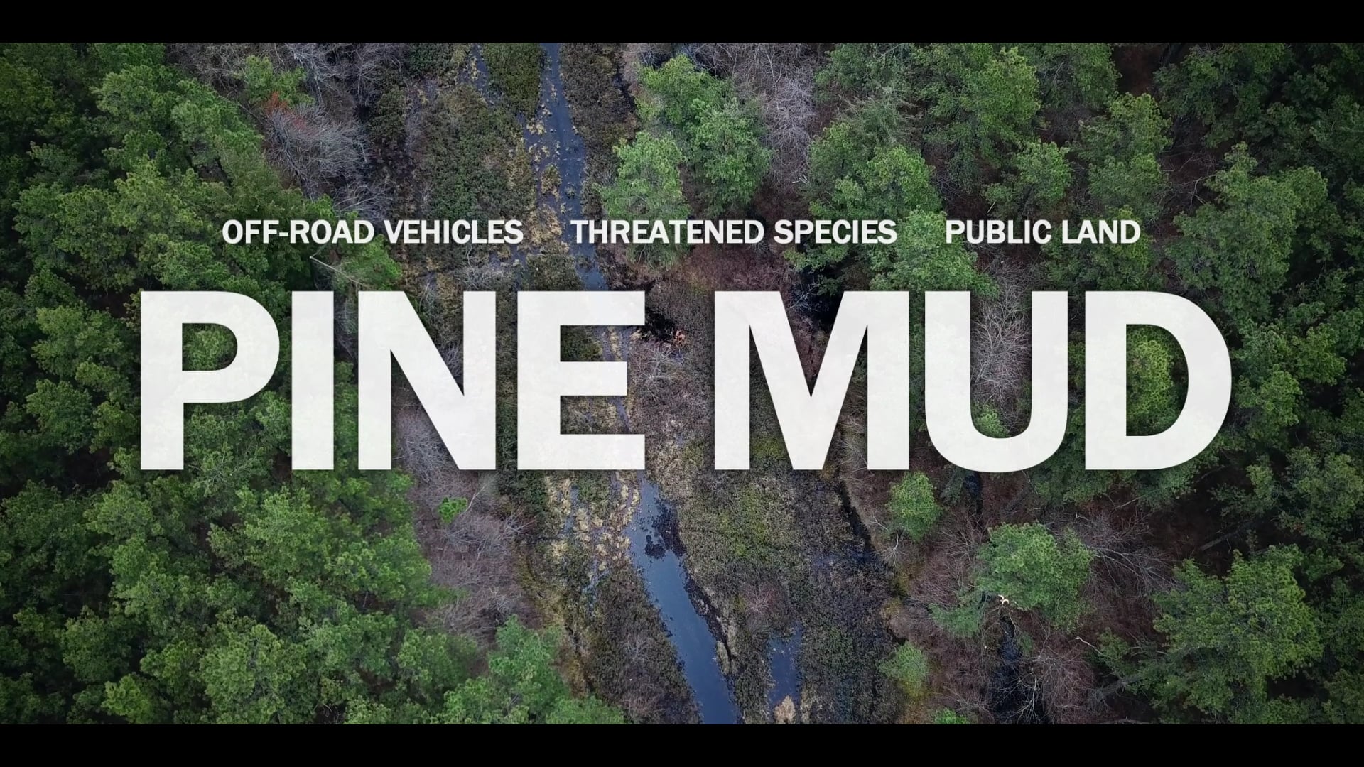 Watch Pine Mud Online | Vimeo On Demand on Vimeo
