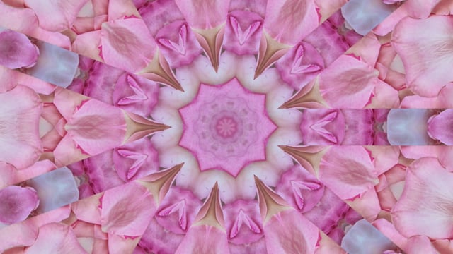 100+ Free Background Video & Background Videos, HD & 4K Clips - Pixabay