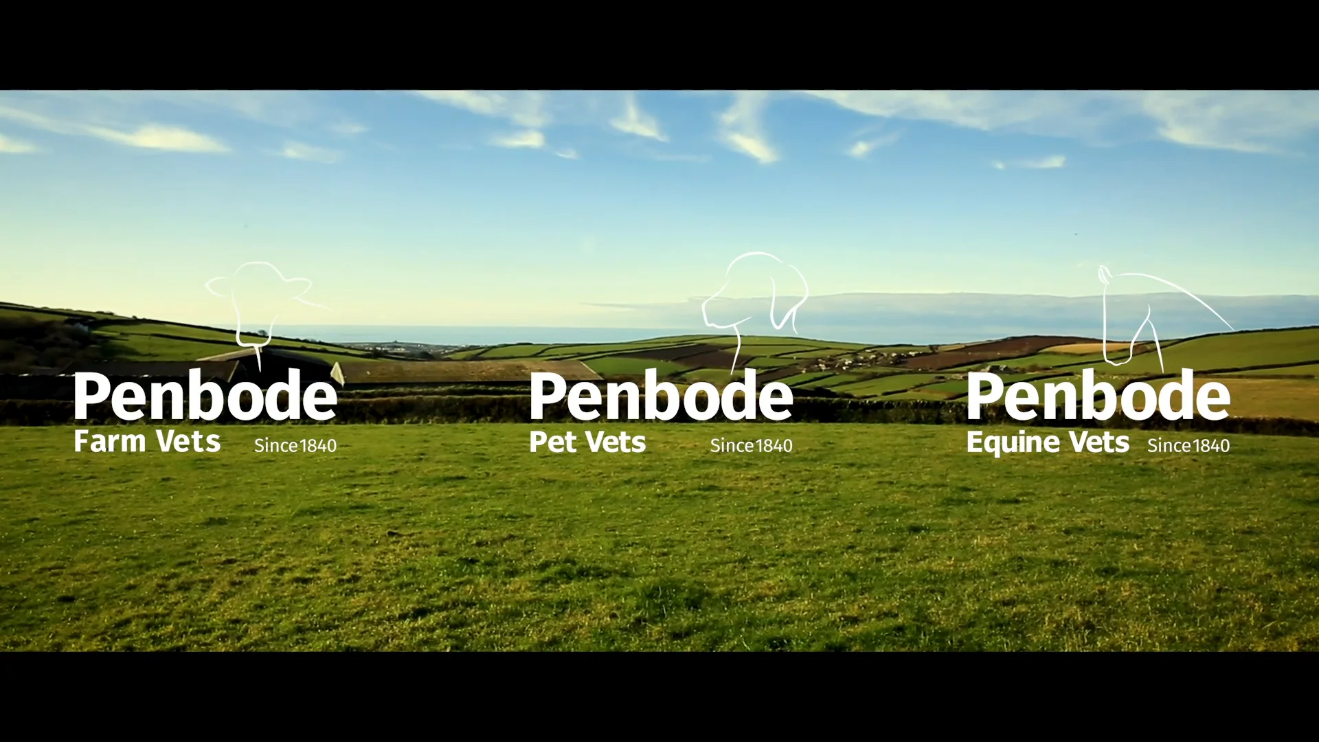 Penbode Recruitment on Vimeo
