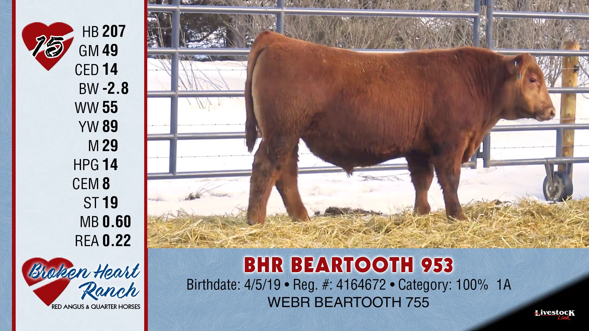 Broken Heart Ranch - Lot 15 on Vimeo