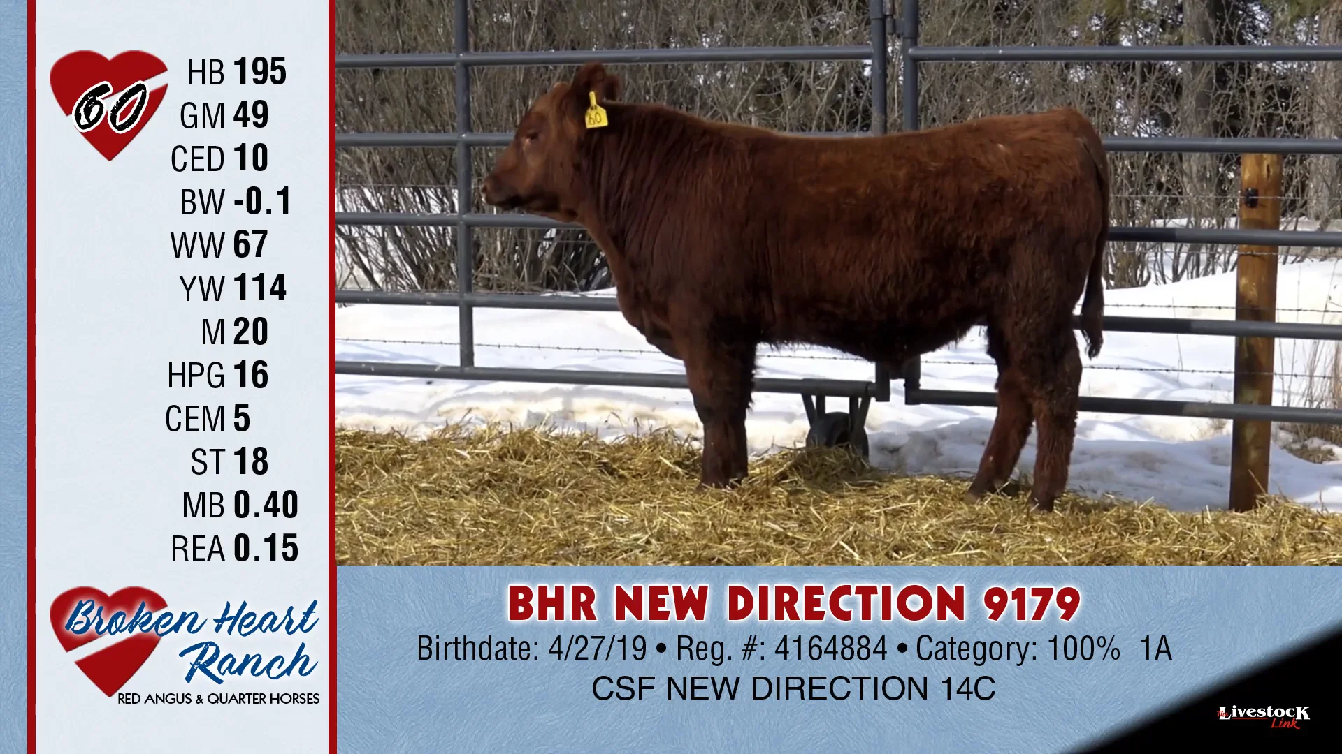 Broken Heart Ranch - Lot 60 on Vimeo