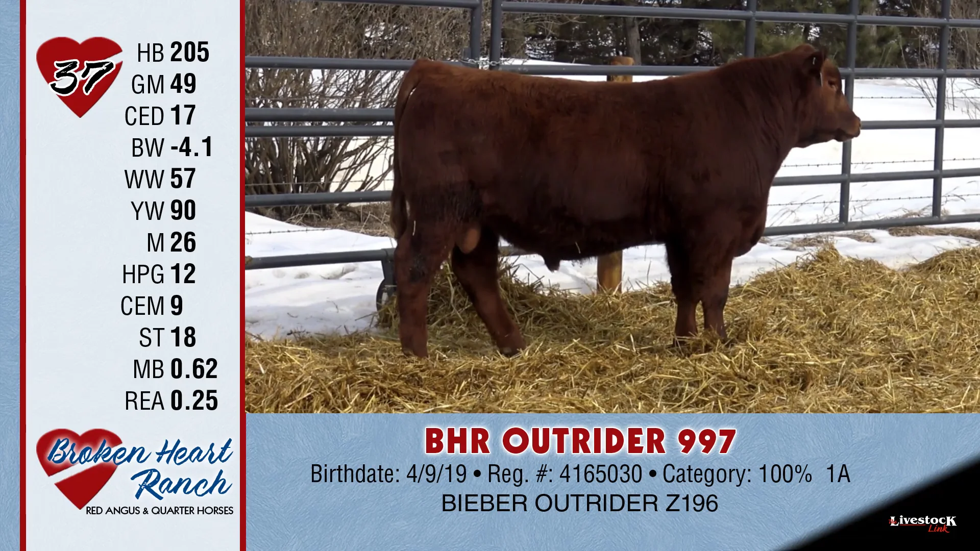 Broken Heart Ranch - Lot 37 on Vimeo