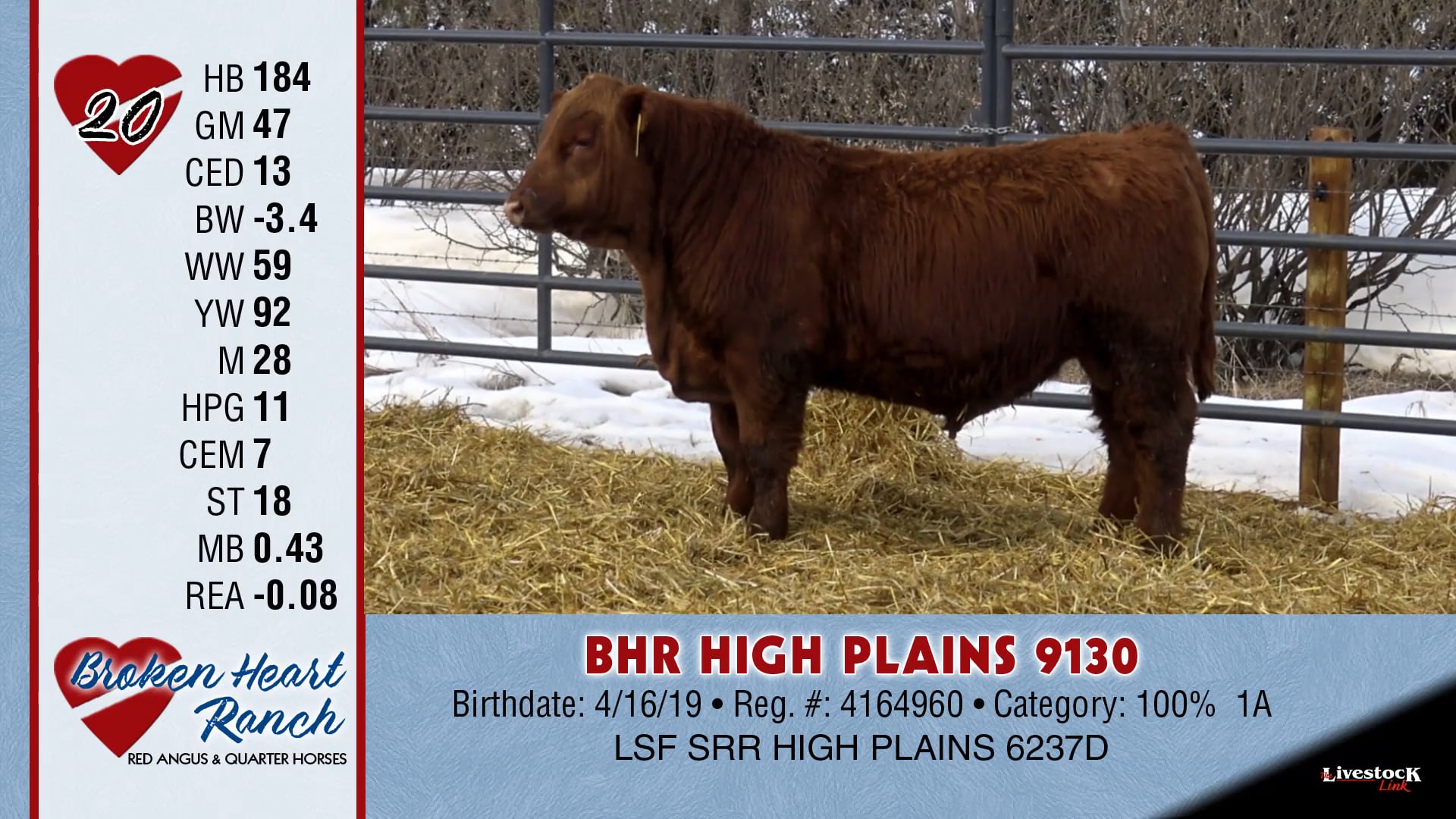 Broken Heart Ranch - Lot 20 on Vimeo