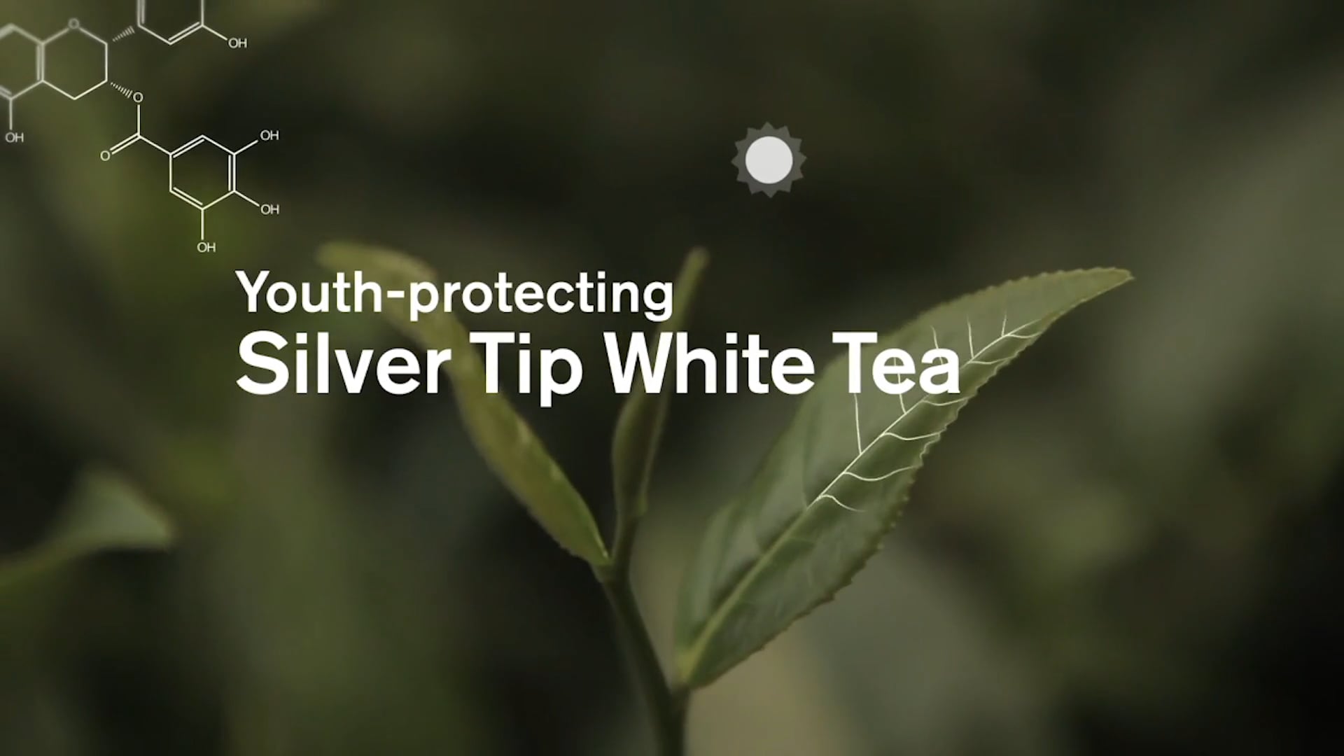 2020 Optum Spotlight OES GFX Examples - OPTUM_SpotlightOES_GFX-Example ...