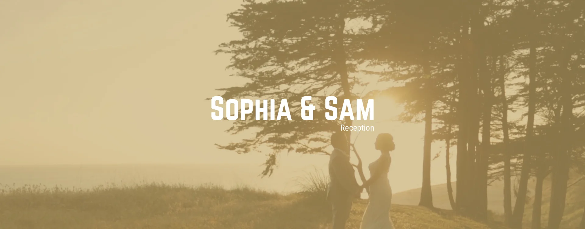 Sophia and Sam Wedding - Sophia and Sam Reception on Vimeo