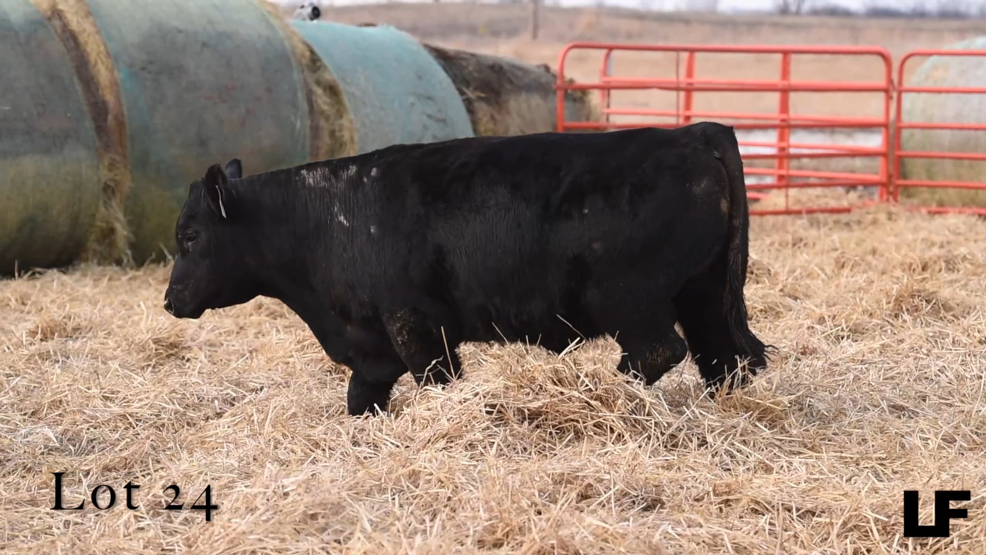 Lott Farms Lot 24.mp4 on Vimeo