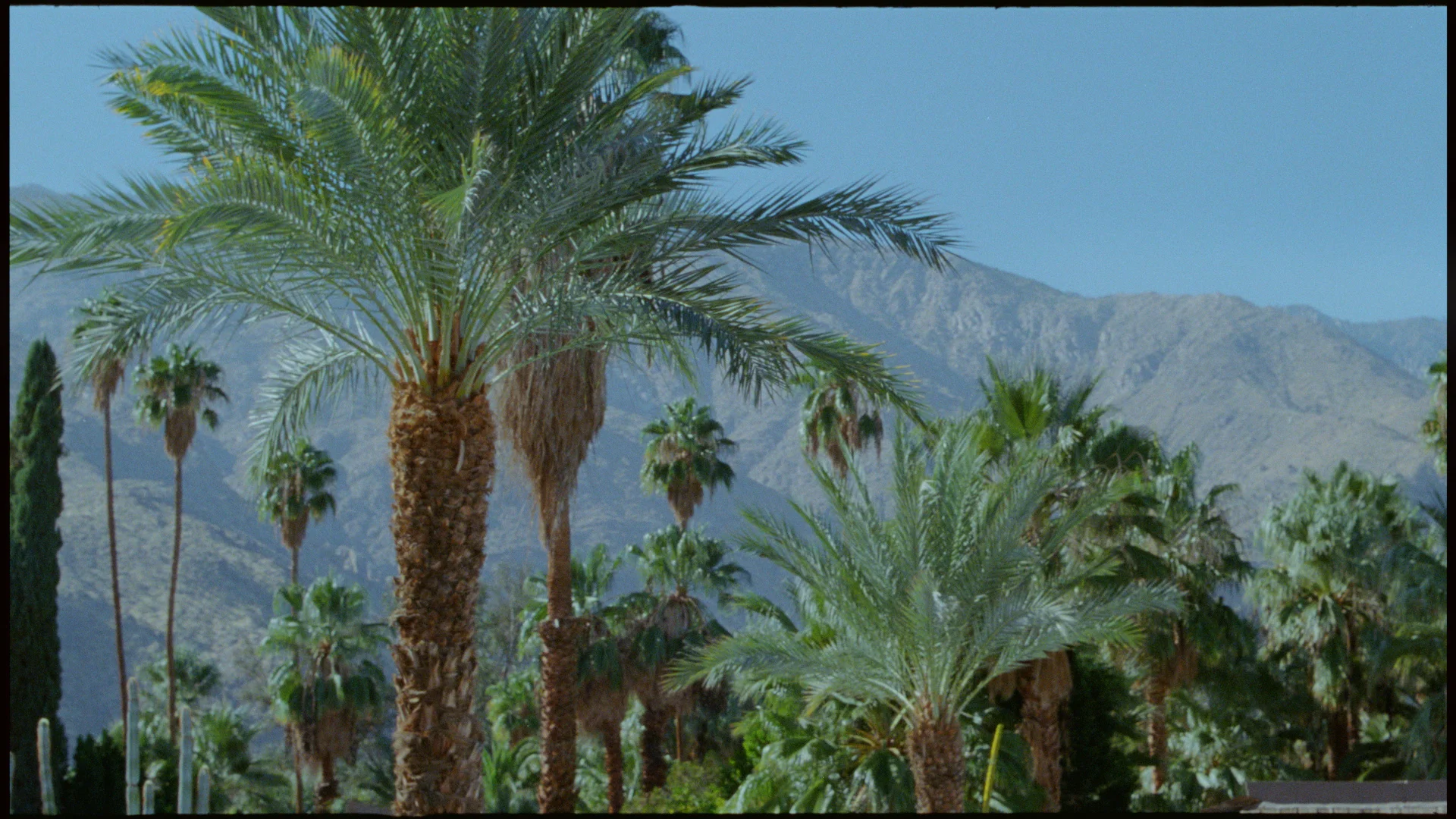 Marc Morató / Colorista - Louis Vuitton Bags on Vimeo