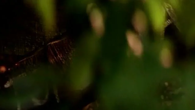 Hopsi Topsi Land on Vimeo