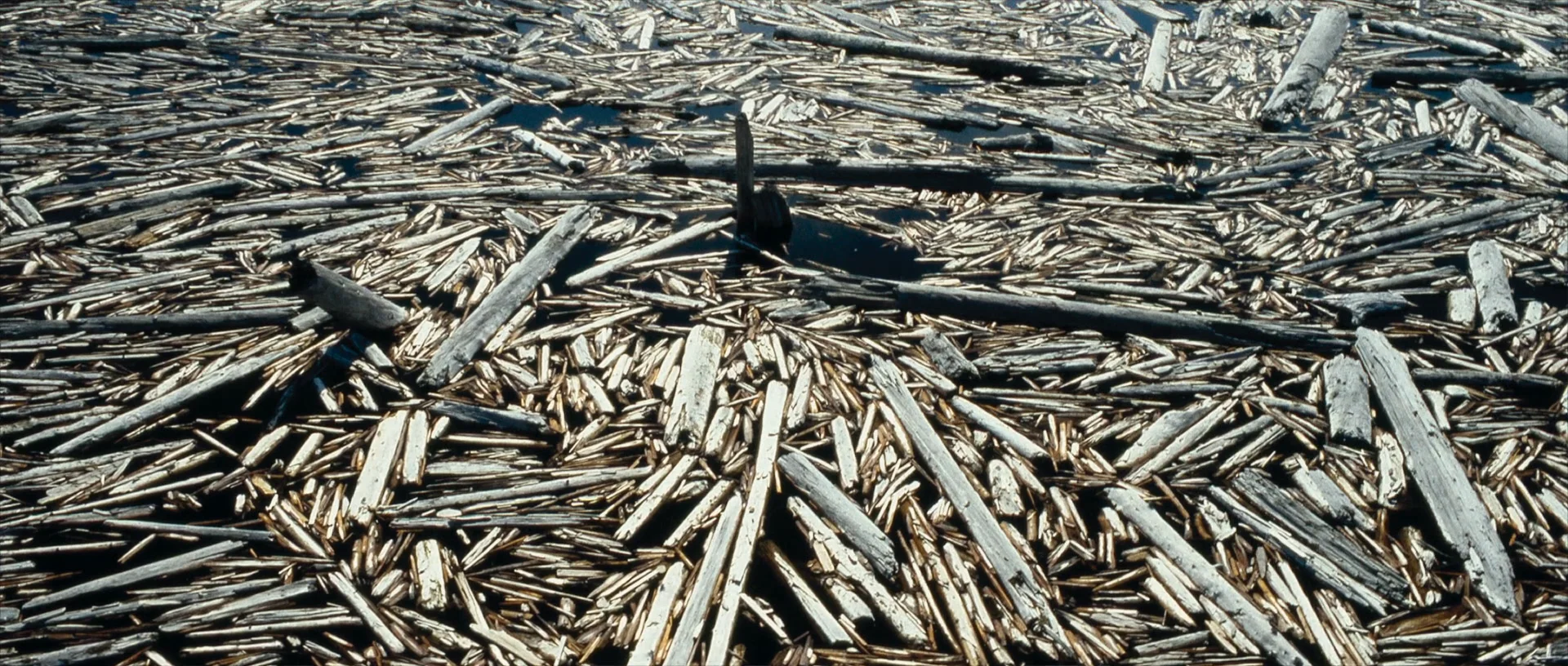 2 Spirit Lake & the Floating Log Mat 1080p on Vimeo