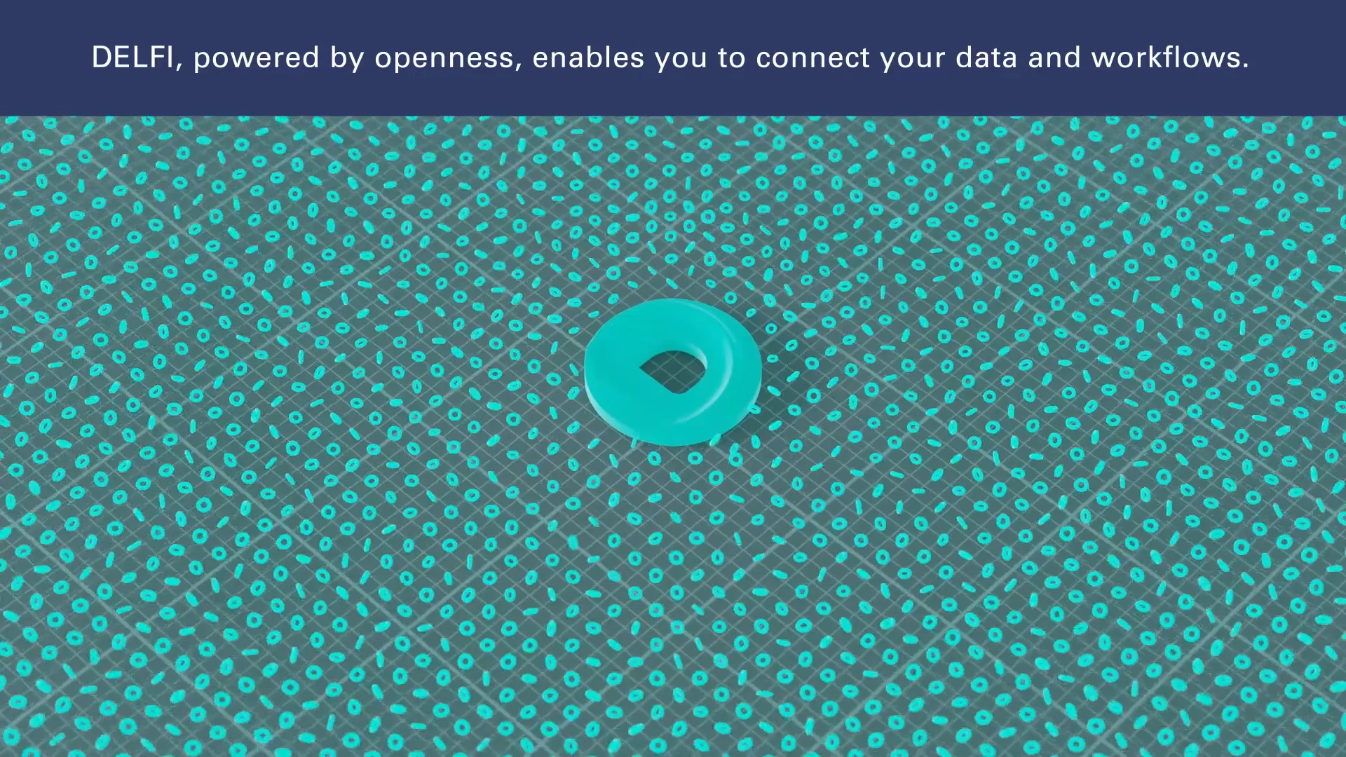 Schlumberger DELFI Software