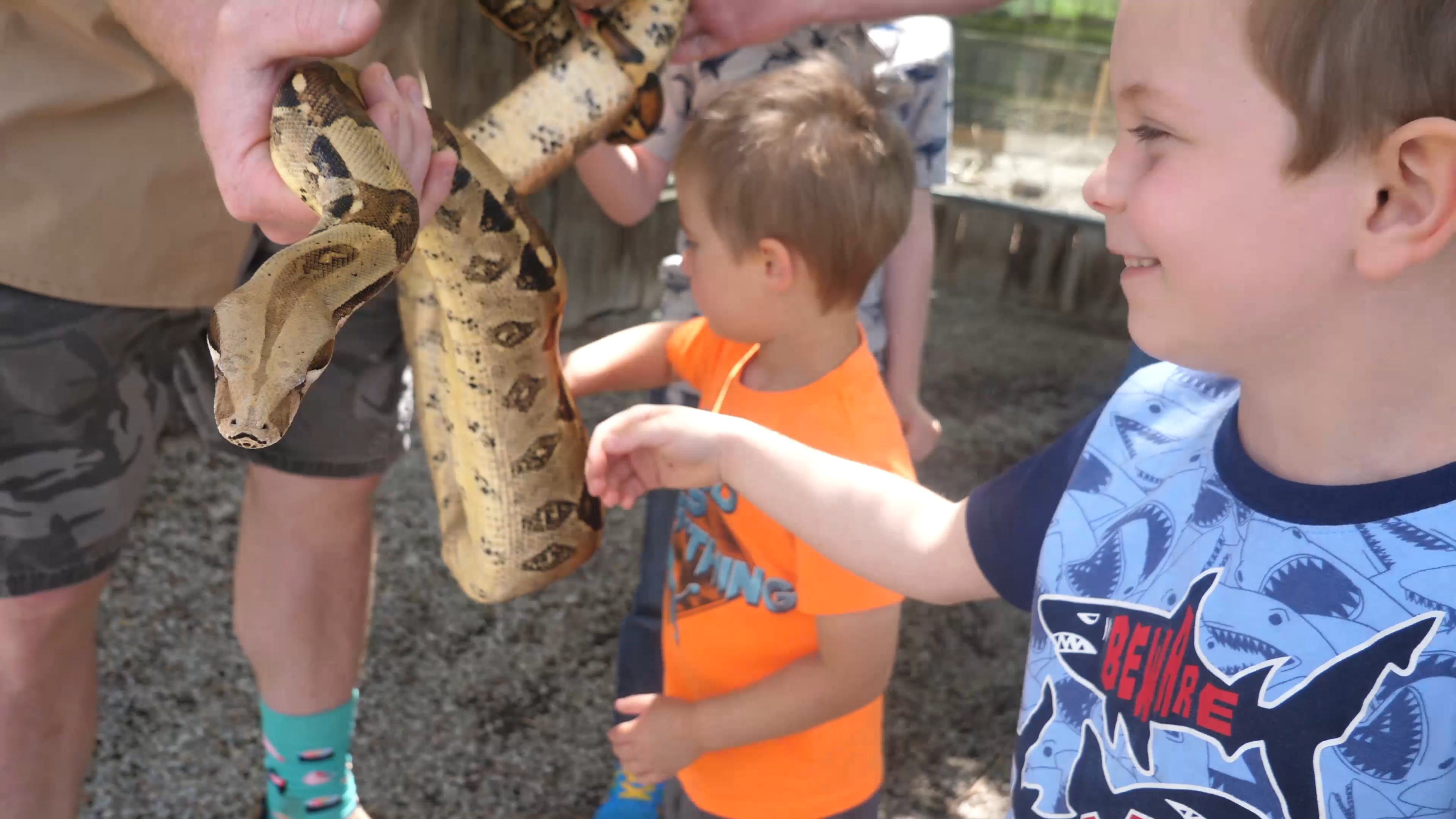 Living Treasures Animal Park 2 on Vimeo