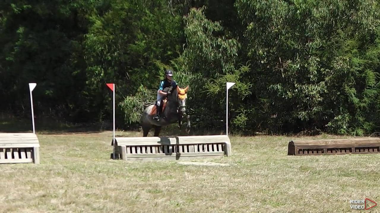 Anna Michalczyk riding Candlebark Showday 38 Grade 4 Seville Pony Club ...
