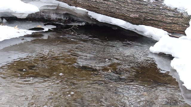 Stream, Winter, Snow. Free Stock Video - Pixabay