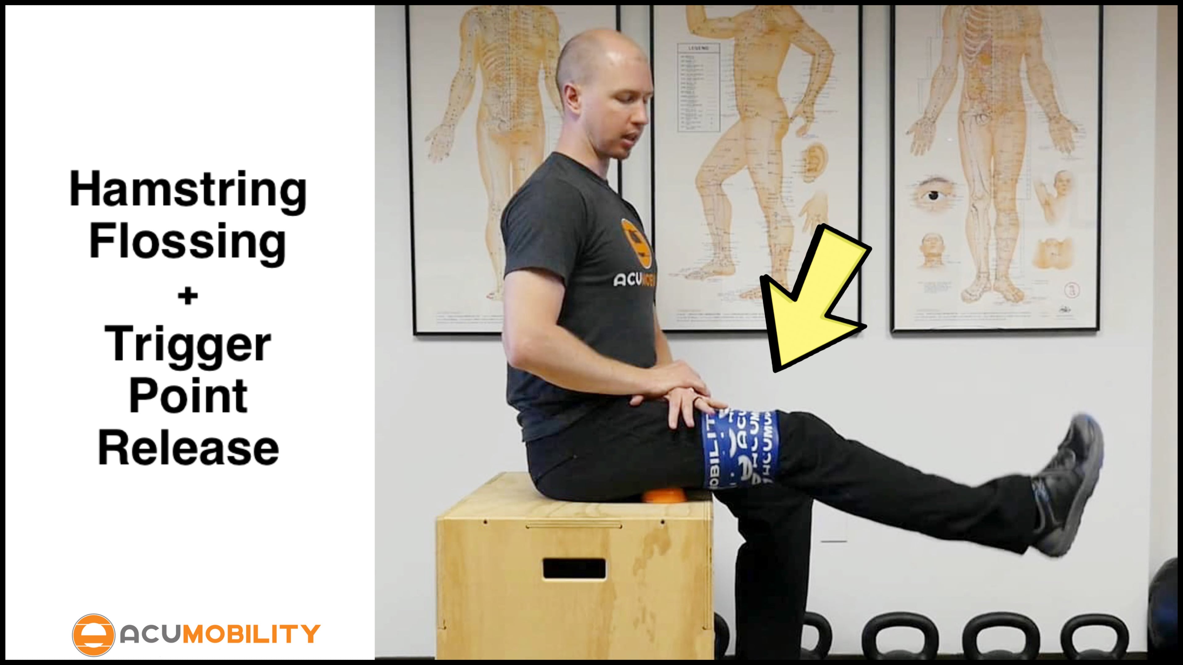 Hamstring Flossing and Trigger Point Release on Vimeo