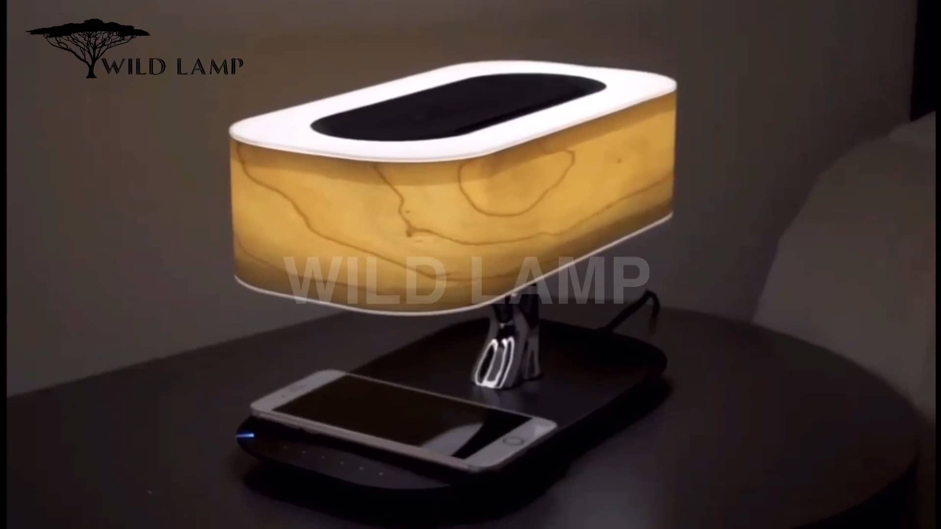 Wild Lamp on Vimeo