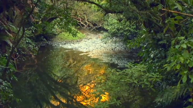 Natural land cover — Science Learning Hub