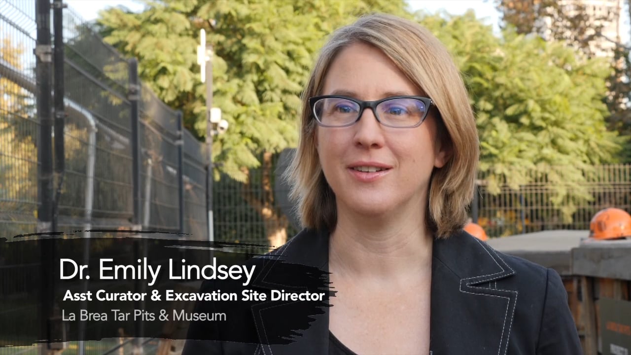 Museum Access Profiles: Dr. Emily Lindsey - La Brea Tar Pits & Museum ...