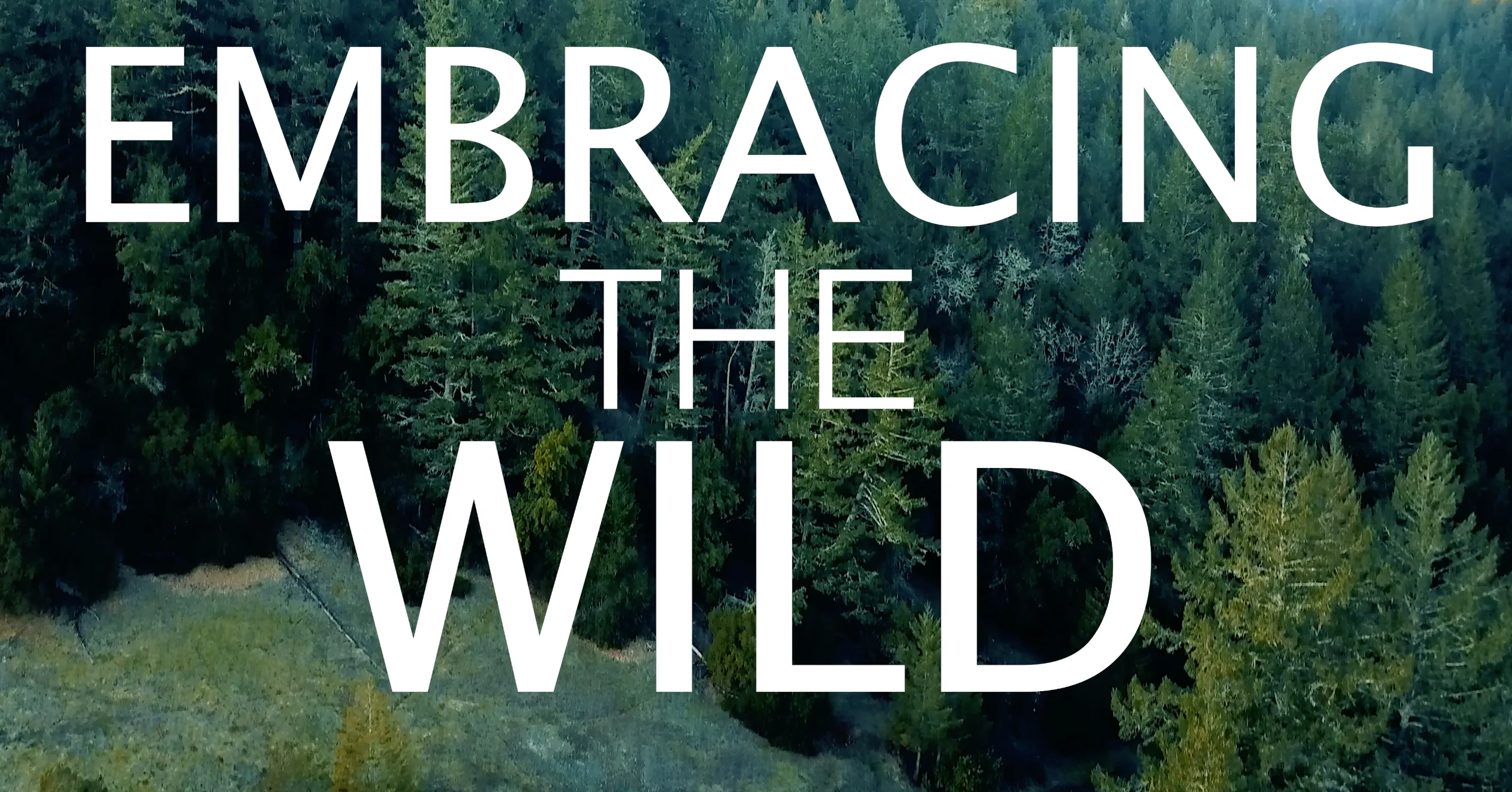Embracing the Wild - Intro on Vimeo