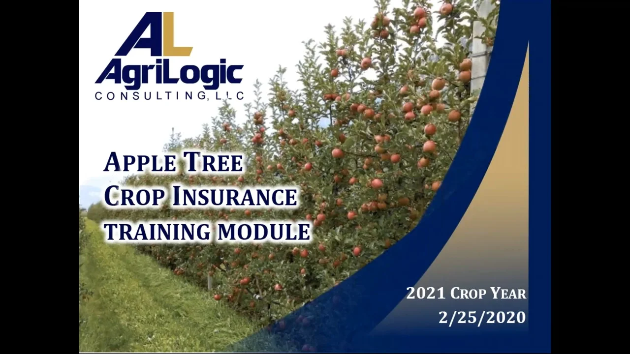 Apple Tree Training Presentation on Vimeo