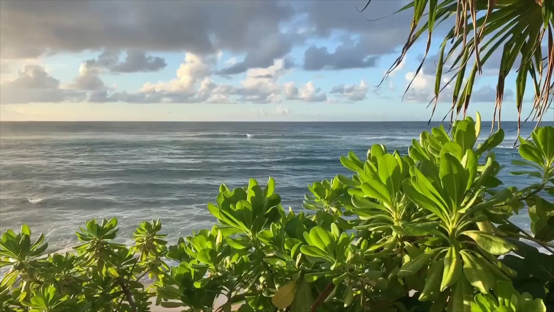 Hawaii on Vimeo