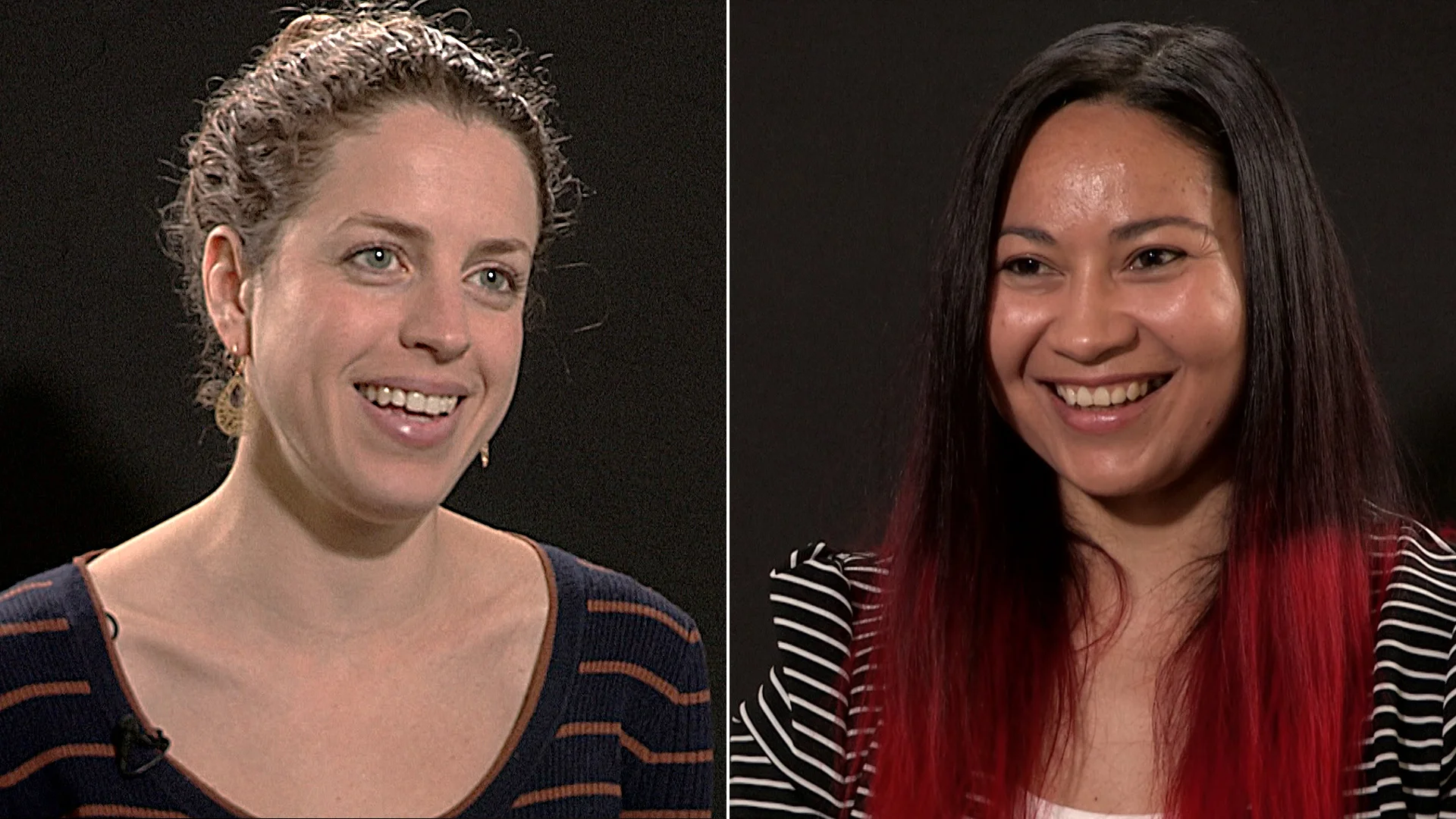 Preview: Animal Law and Strategic Litigation ;with Amanda Richman and ...