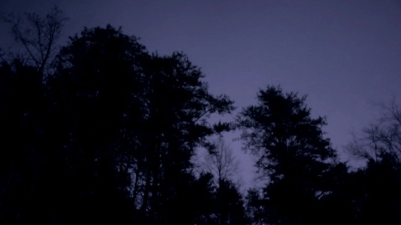 Treeline at Night HD Time Lapse on Vimeo