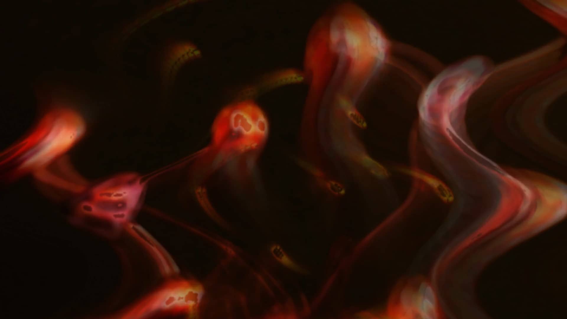 Atomic Mating Dance on Vimeo