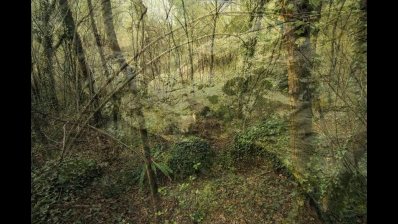 Genius Loci on Vimeo