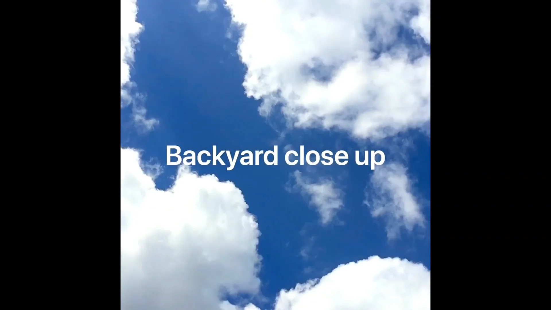 Backyard Close Up on Vimeo