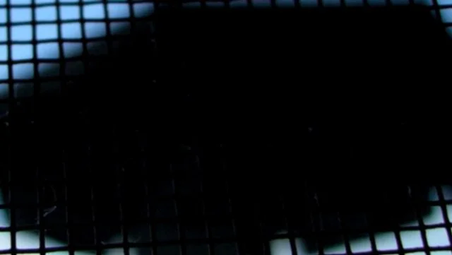 Acid Raindrops - People Under The Stairs on Vimeo