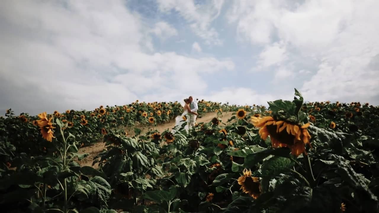 Gavin + Georgia Highlights on Vimeo