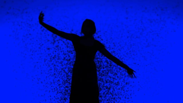 Birthday Music Videos: Download 5+ Free 4K & HD Stock Footage Clips - Pixabay