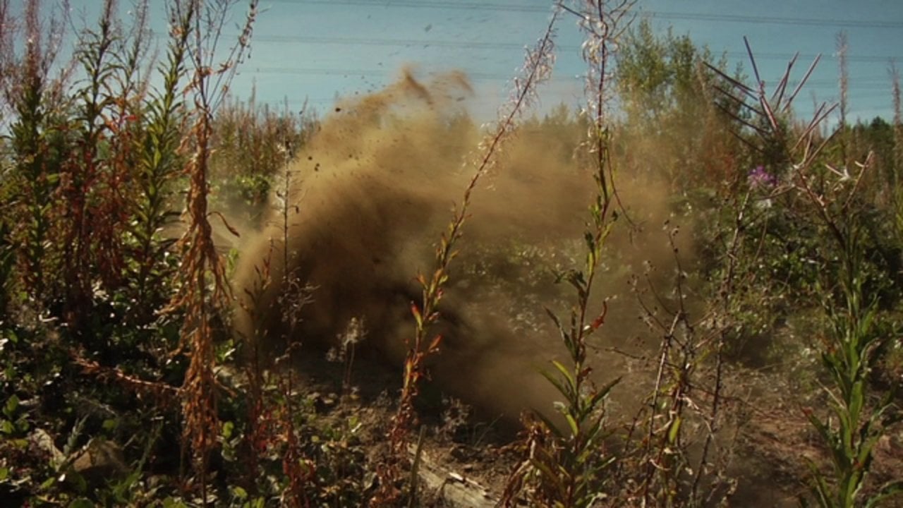 Barred For Life Teaser on Vimeo