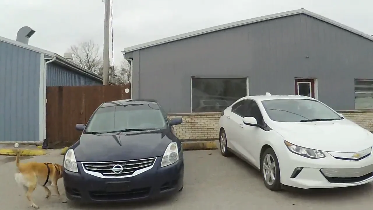 Anne & Jed 1b on Vimeo