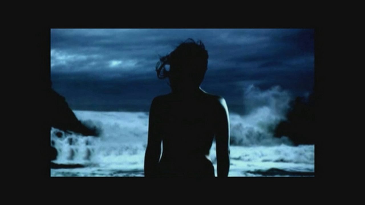 Randy Che - Cinematography Reel 2008 on Vimeo