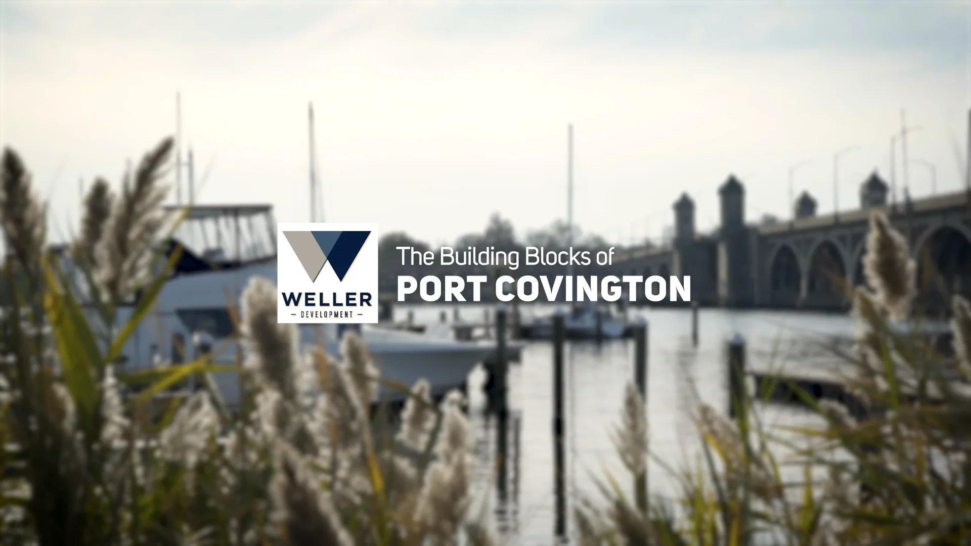 The Building Blocks of Port Covington