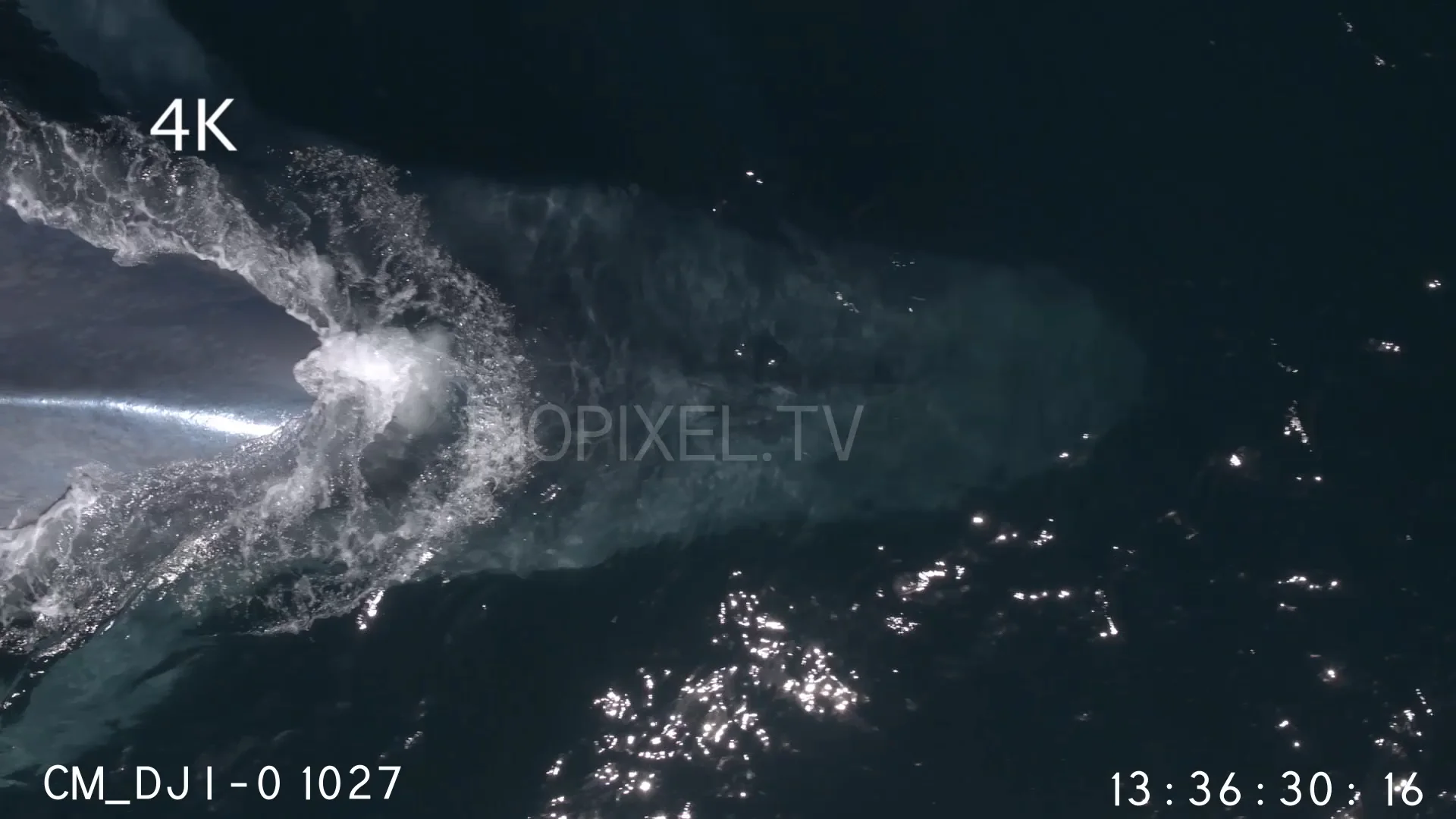 4K - Aerial - Blue whale diving leaving behind footprint on Vimeo