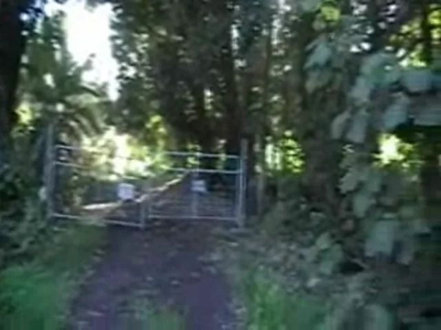 Allan Yoza - Dharma Farms Hawaii