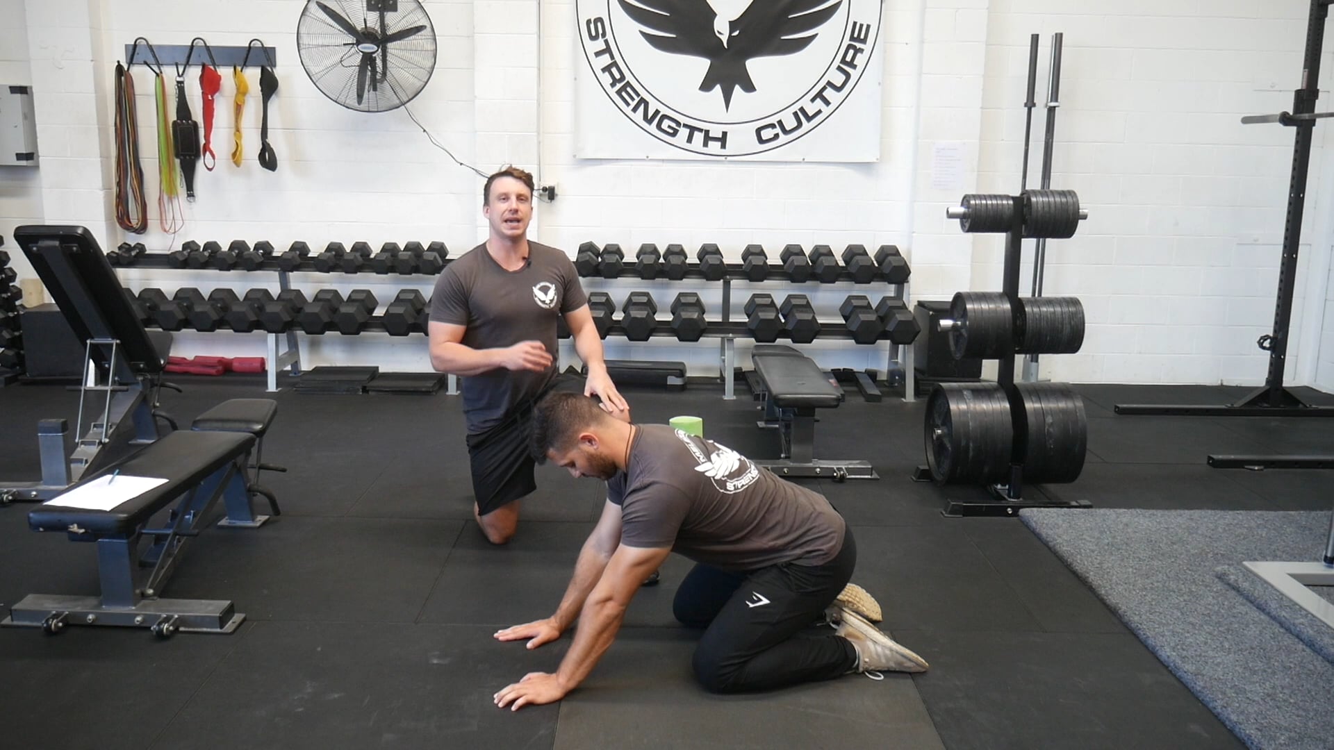 Quadruped Extension Rotation w: Sling on Vimeo