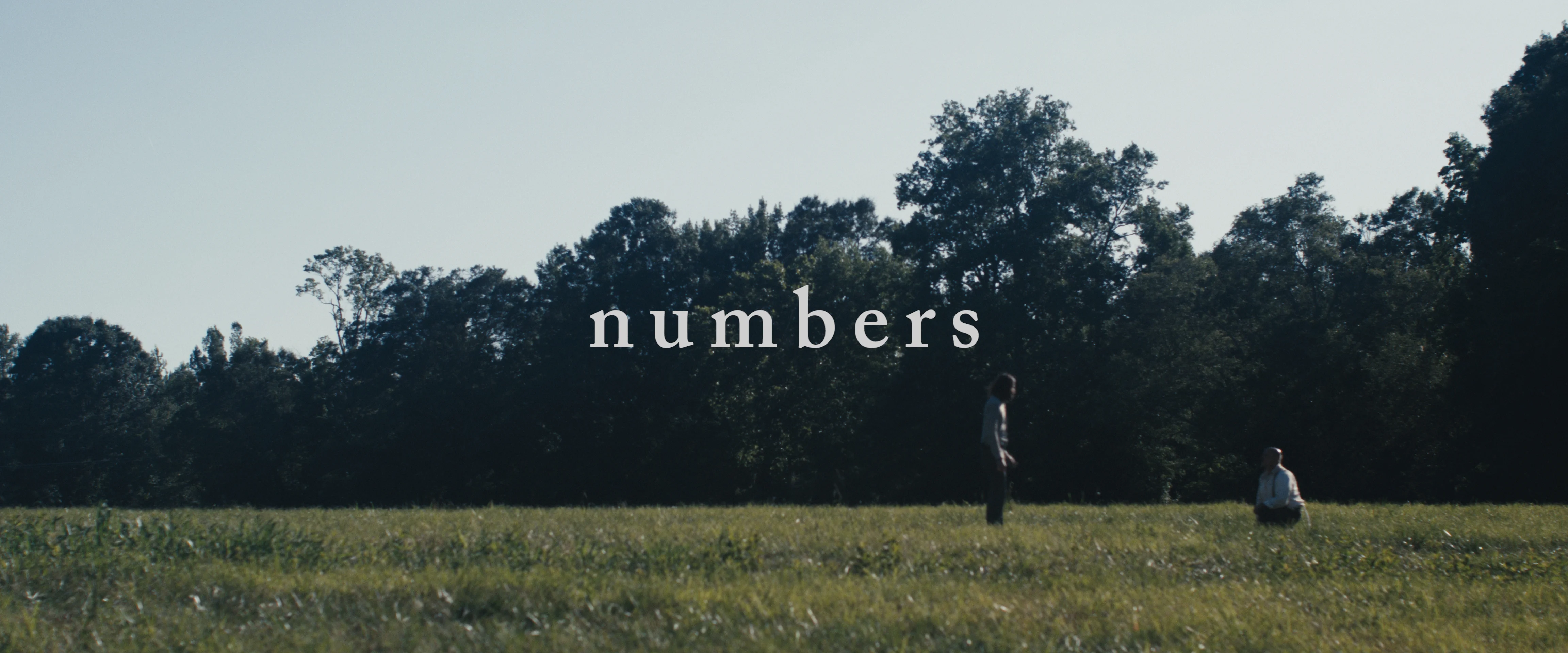 Numbers