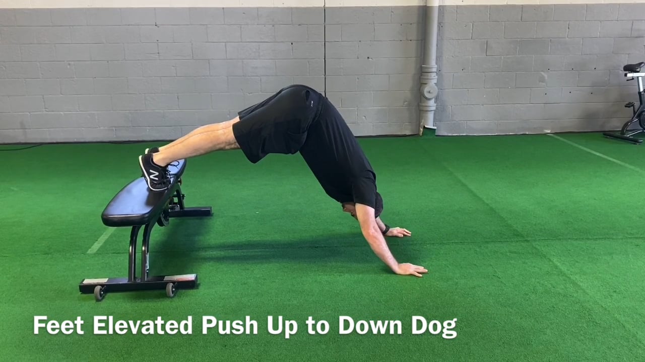 Feet Elevated Push Up to Down Dog on Vimeo