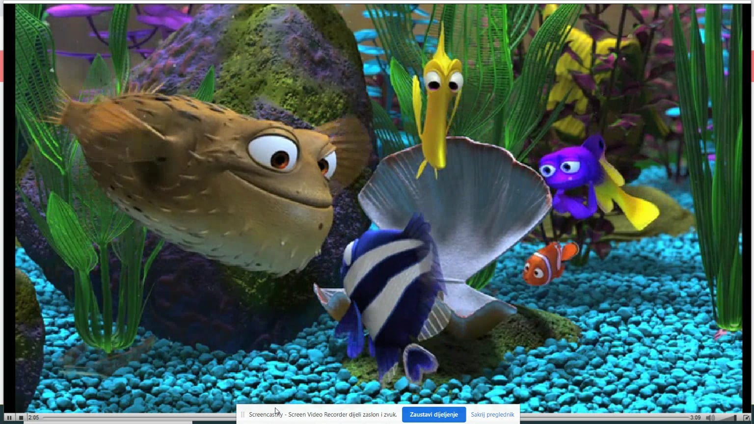 NEMO- video clip on Vimeo