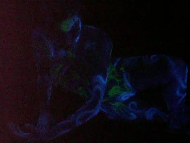 Blacklight Genbu turtle bodypainting on Vimeo