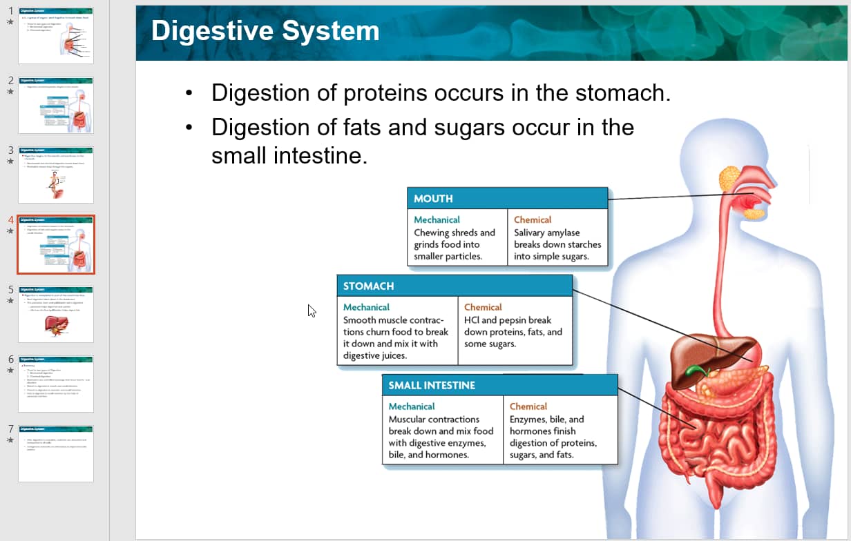 G10 Boys Digestive system on Vimeo